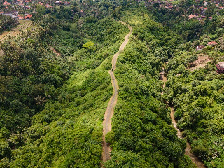 Discovering the Charm of Ubud: The Ultimate Guide to Planning a Trip to ...