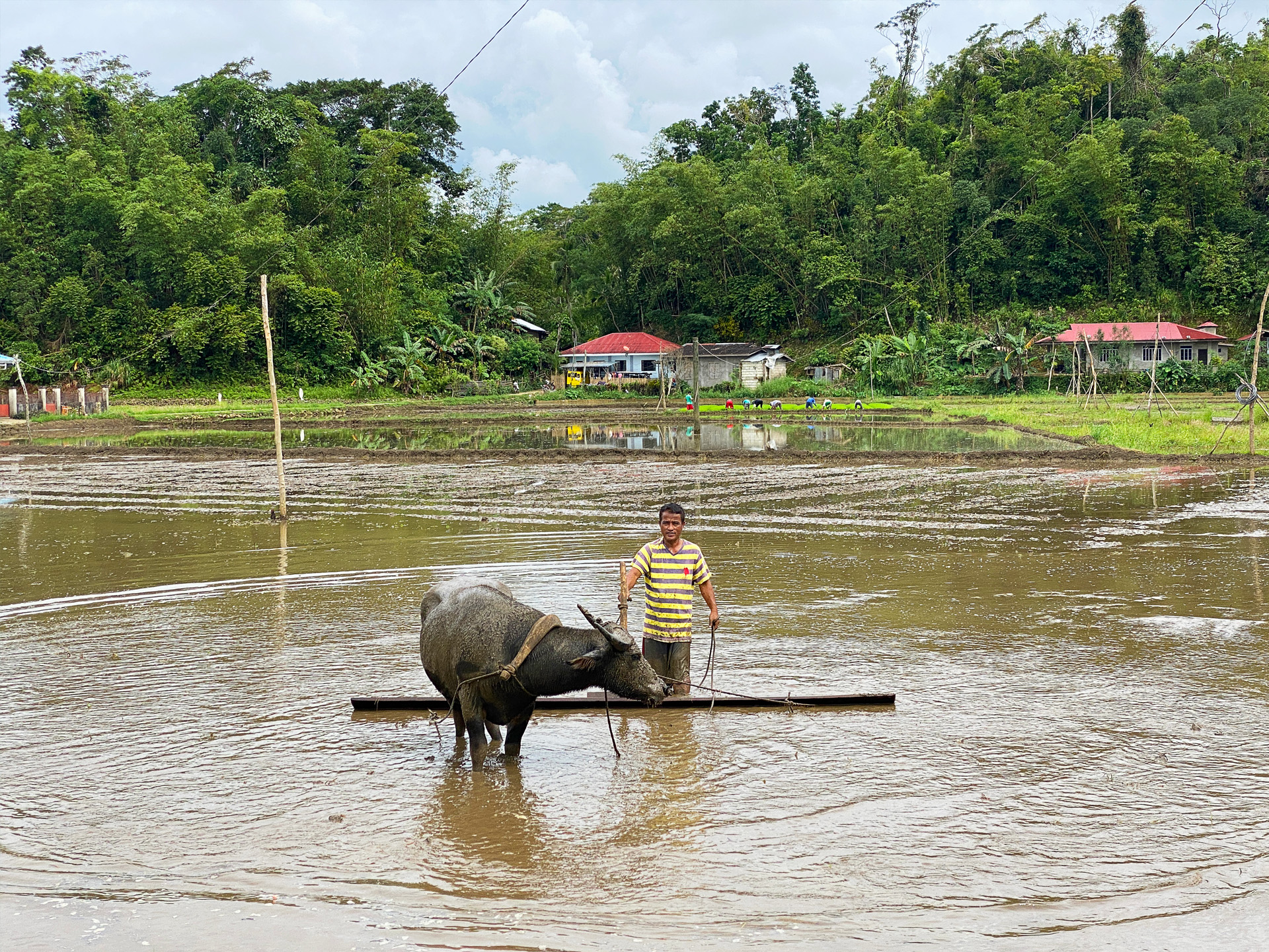 The Best of Bohol and Panglao, Philippines – The Traveling Wellburys