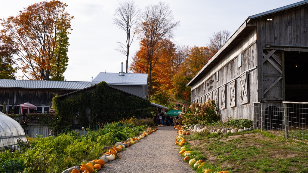 The Perfect Fall Michigan Trip – The Traveling Wellburys